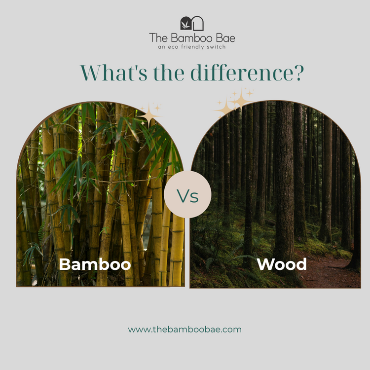 Bamboo vs Wood: Which Sustainable Material Should You Choose – The ...